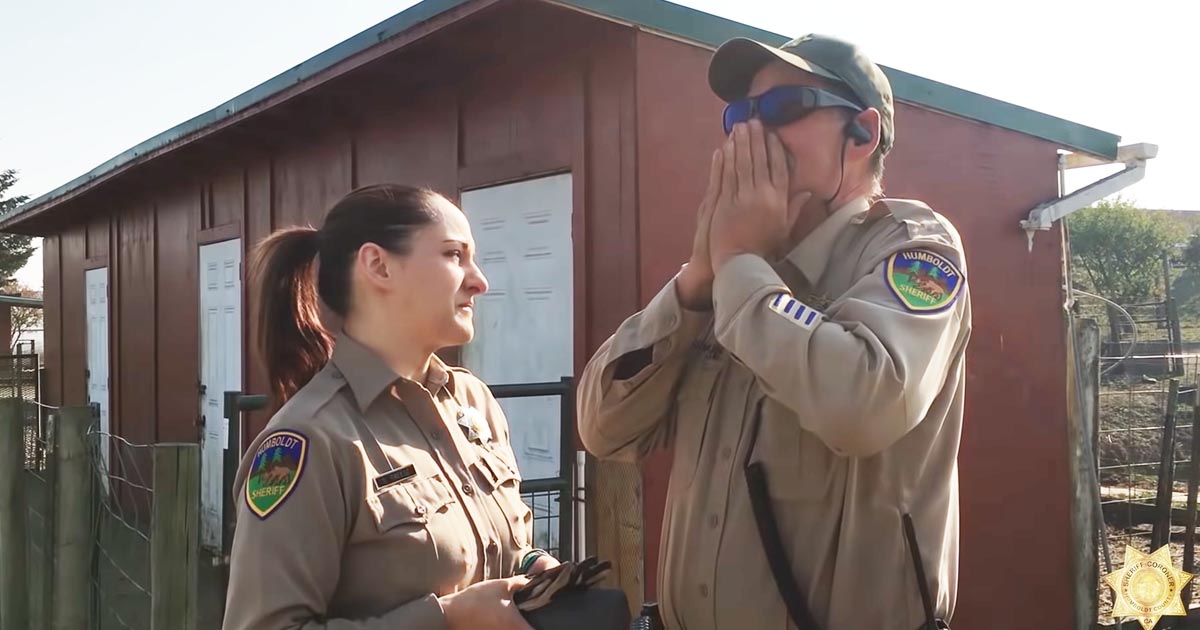 Correctional Deputy Cries Tears Of Joy As He Sees Colors For The First Time